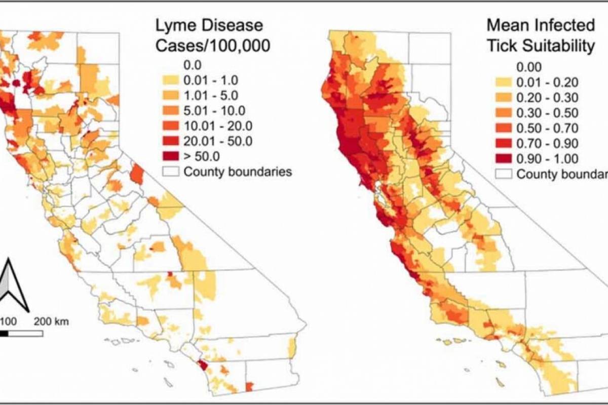 Lyme Disease Map